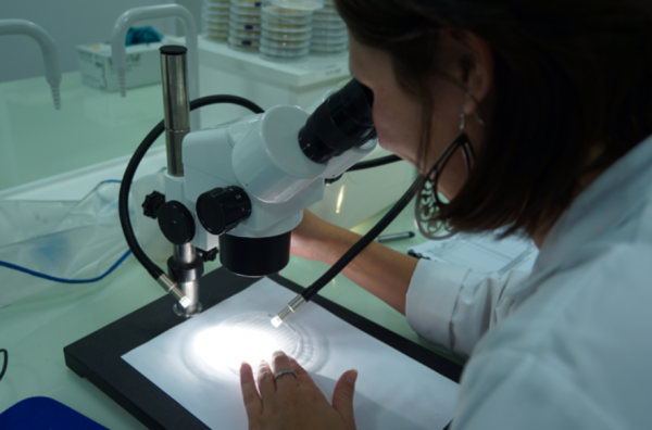 Filth test – Laboratoire Olcea