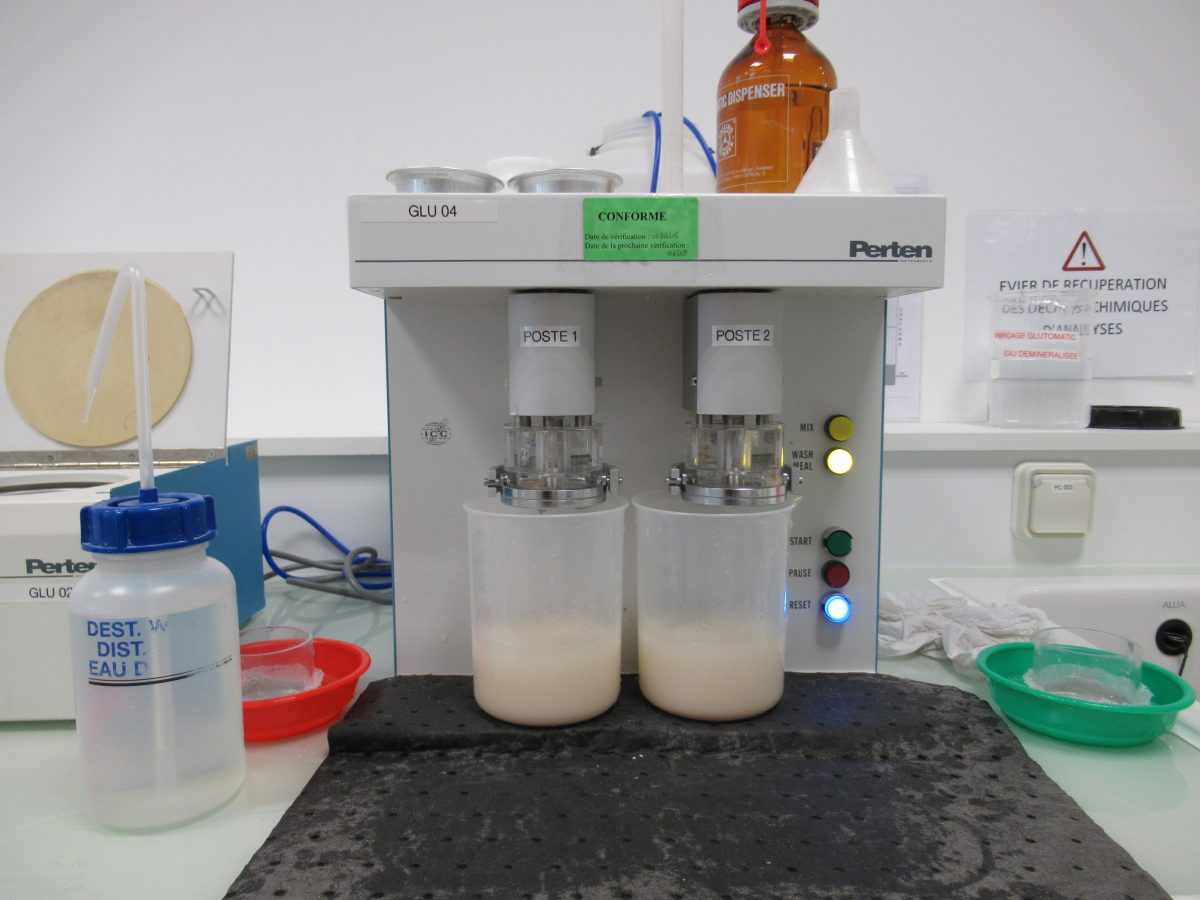 Gluten – Laboratoire Olcea