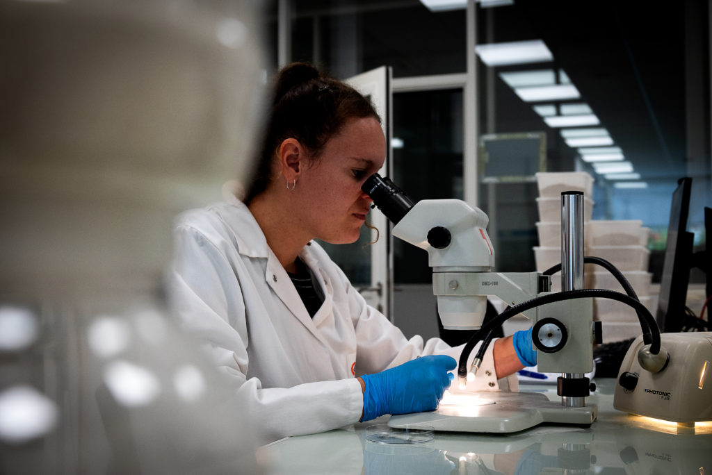 Laboratoire Olcea – Réactivité – Fiabilité – Performance